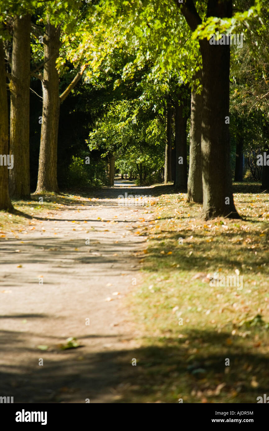 A late summer pathway in the Mountsberg Conservation Area Stock Photo ...
