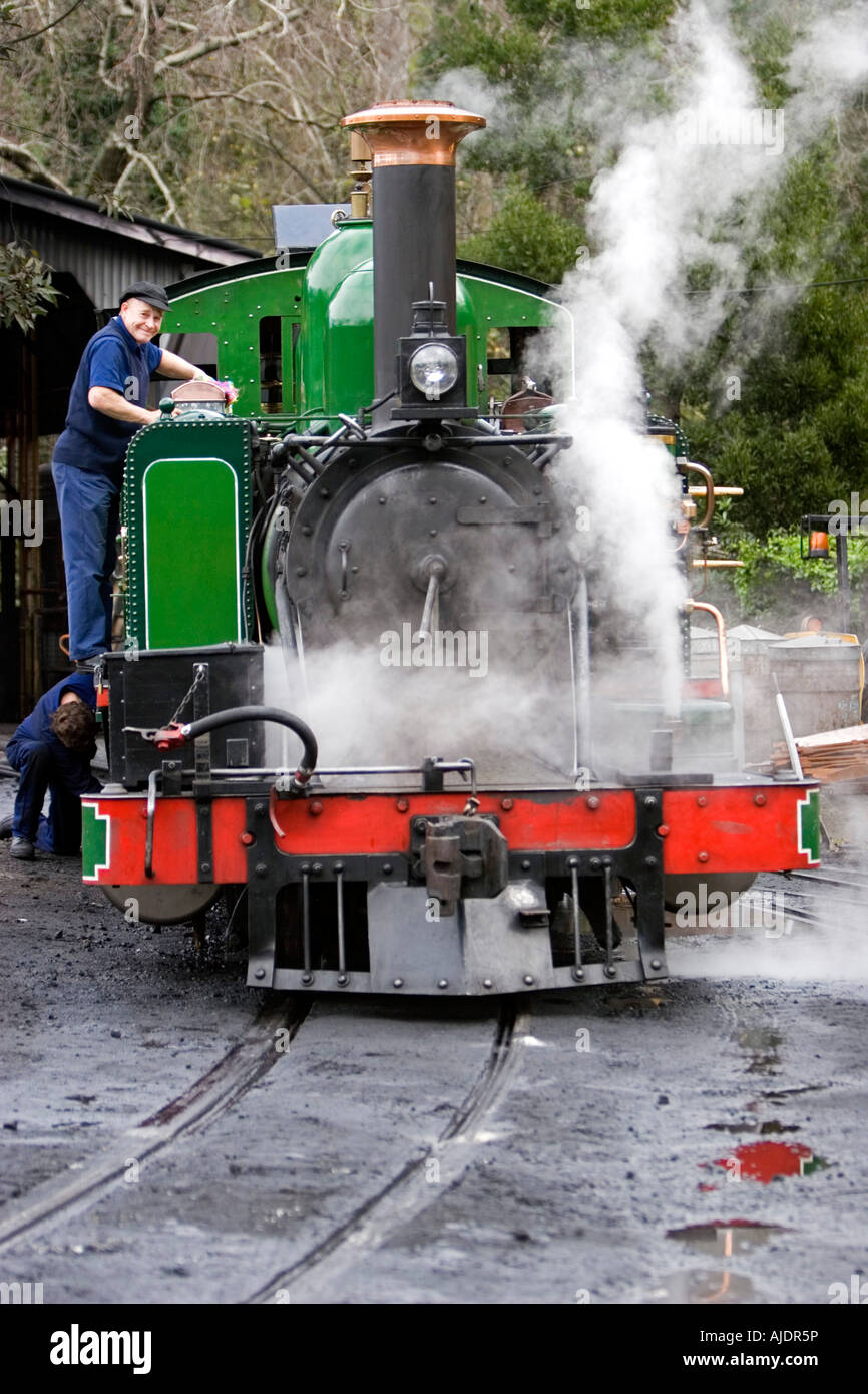 Puffing Billy historic steam railway Melbourne Australia Stock Photo ...