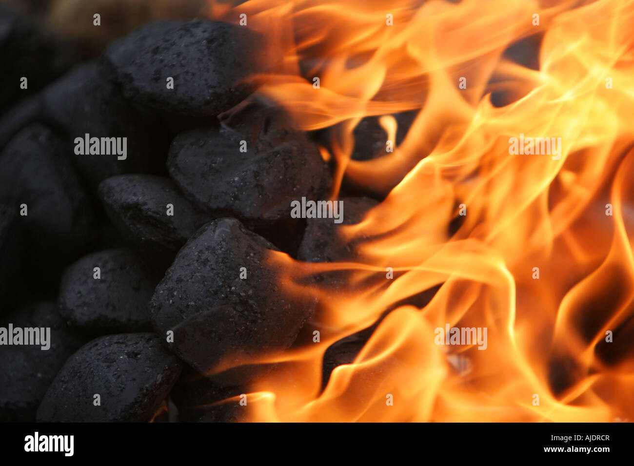 coals in a camping fire burning brightly Stock Photo - Alamy