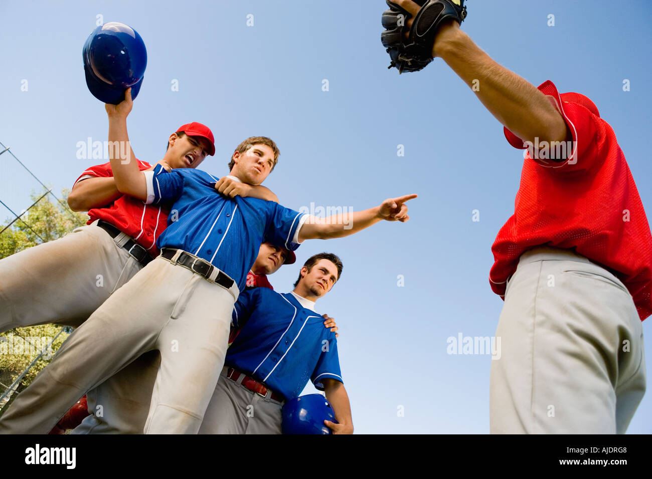 Baseball players arguing on field, (low angle view Stock Photo - Alamy