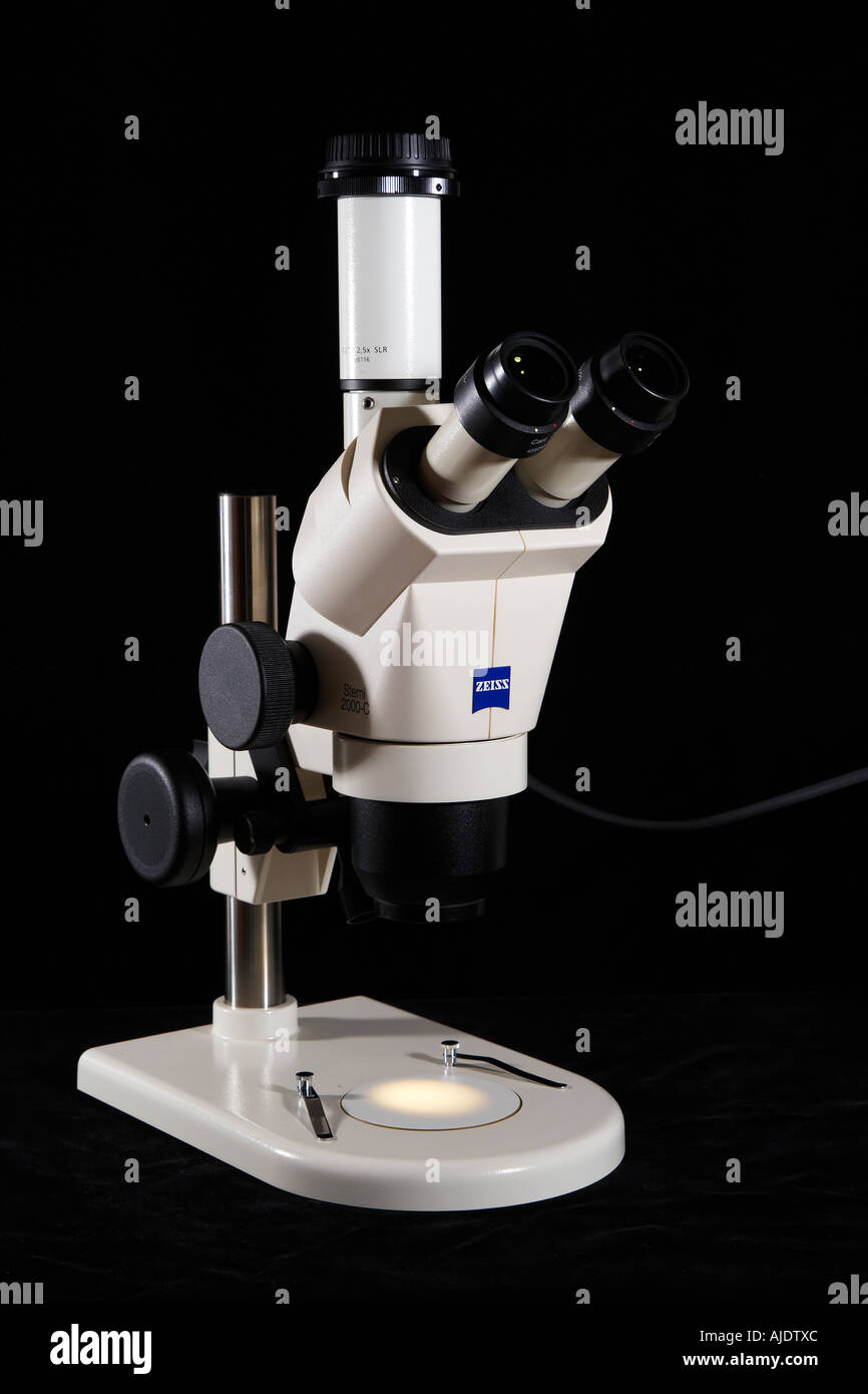 Stereo microscopy hi-res stock photography and images - Alamy