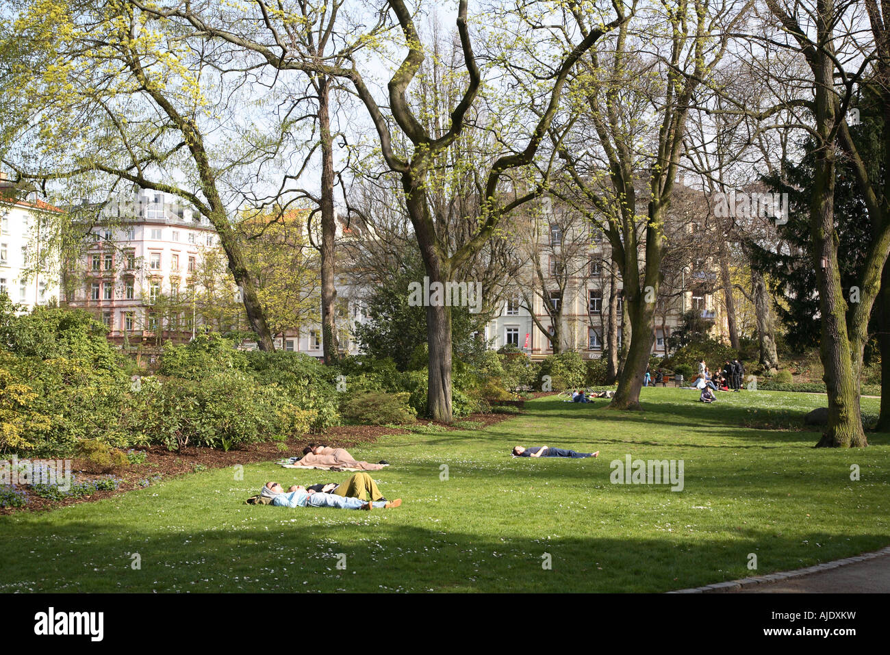 Bethmann park hi-res stock photography and images - Alamy