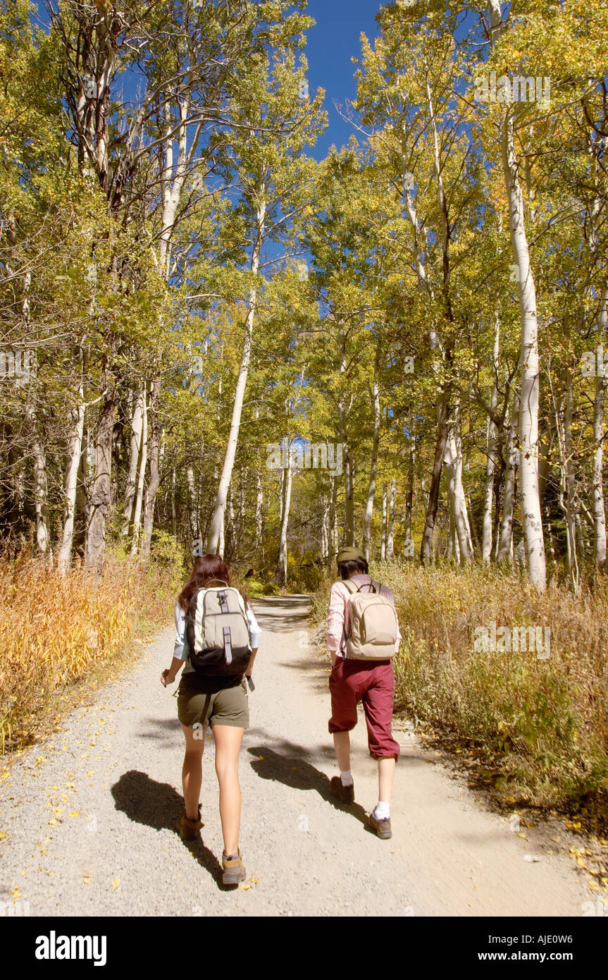 Two hikers on path through woodland Stock Photo - Alamy