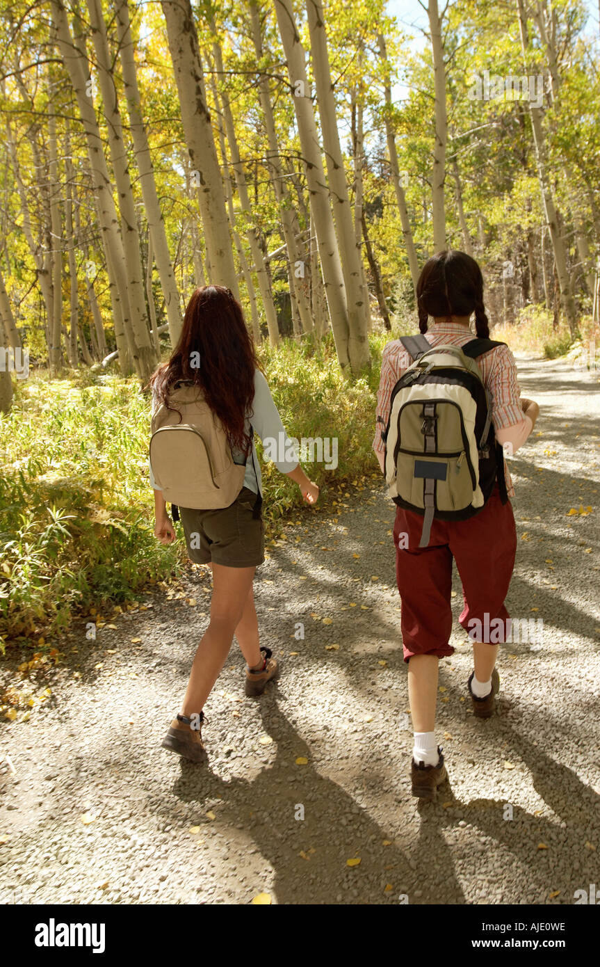 Two hikers on path through woodland Stock Photo - Alamy