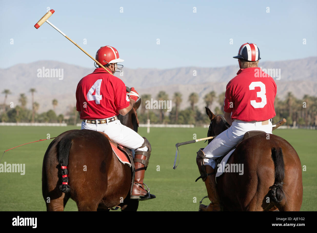Polo Players holding polo sticks, mounted on polo ponies, back view ...
