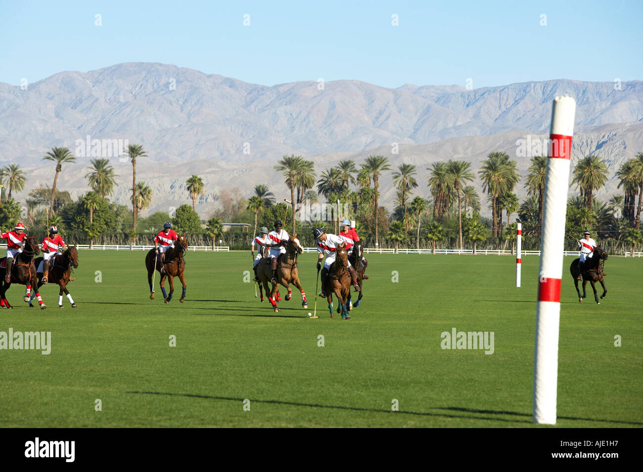 Polo field hi-res stock photography and images - Alamy