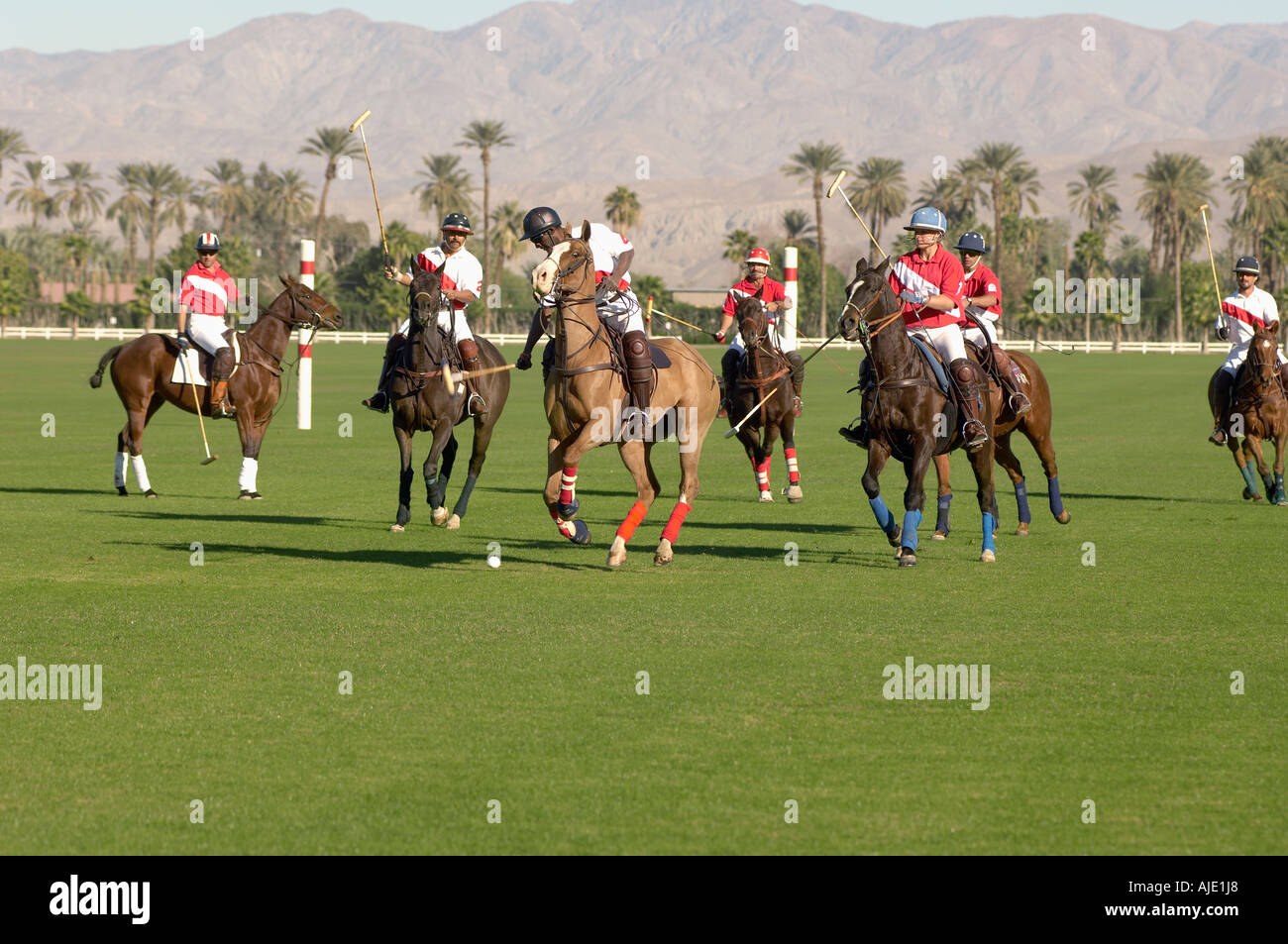 Polo players playing Match on polo field Stock Photo - Alamy