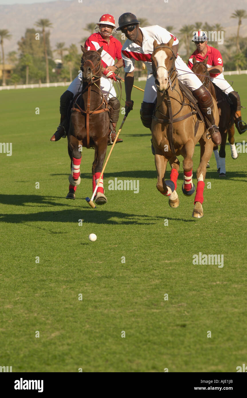 Polo field hi-res stock photography and images - Alamy
