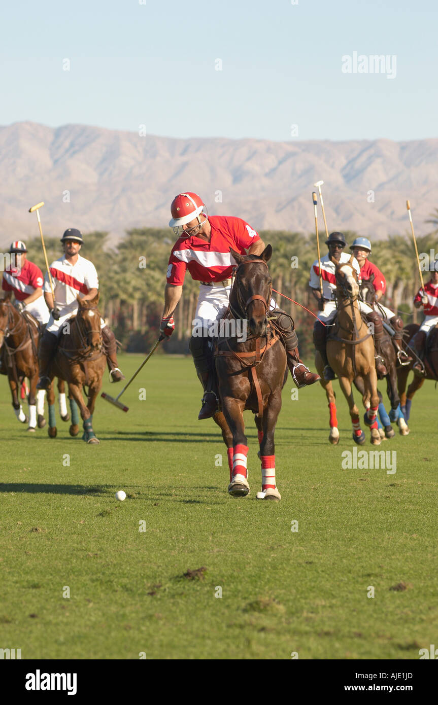 Polo field hi-res stock photography and images - Alamy