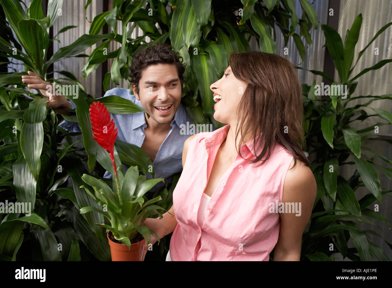 Couple at plant nursery Stock Photo - Alamy