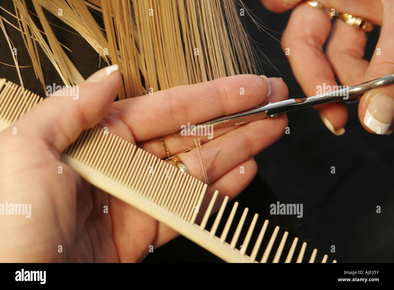 closeup of hairdresser cutting hair Stock Photo - Alamy