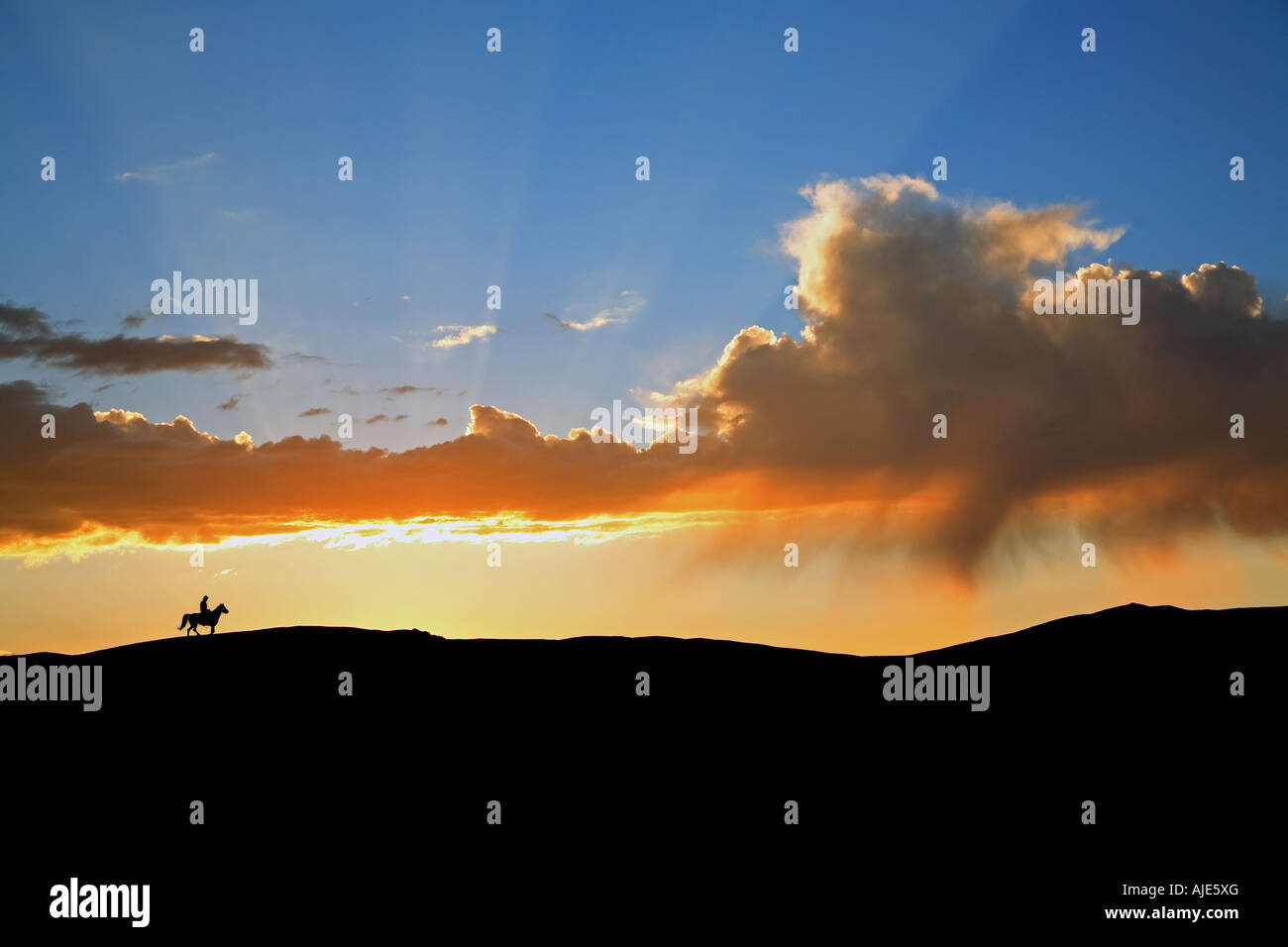 horseback riding at sunrise Stock Photo - Alamy
