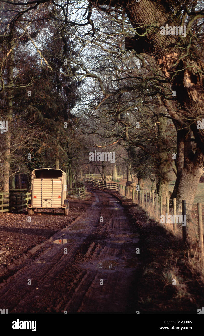 Horsebox, road hi-res stock photography and images - Alamy