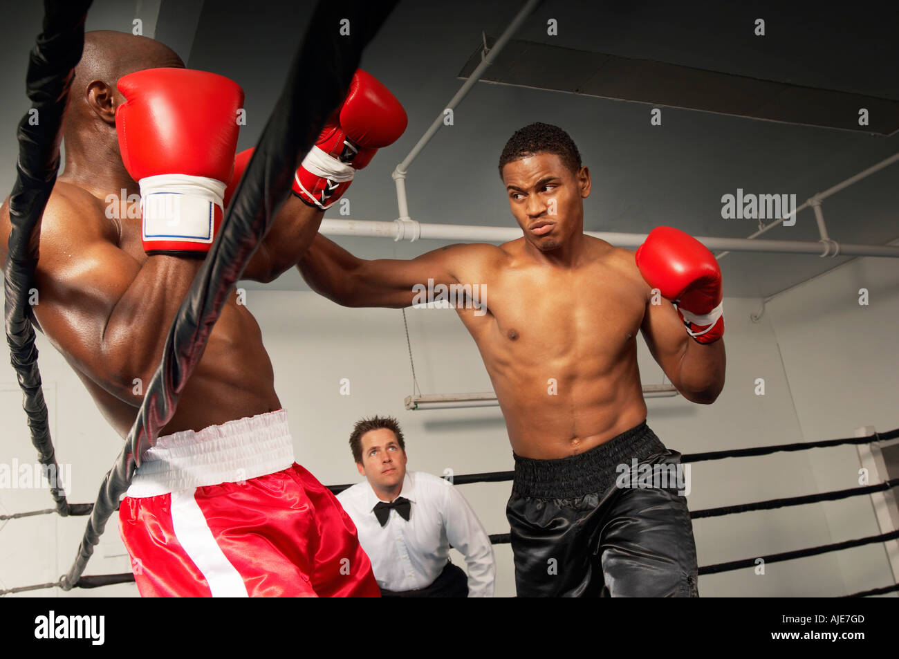 Boxers fighting in ring with referee watching Stock Photo - Alamy