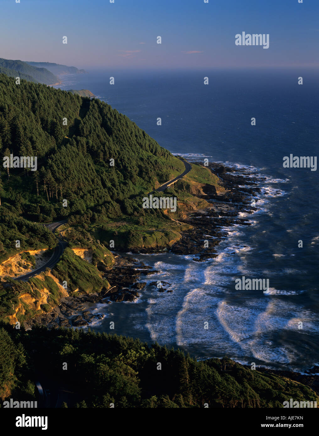 Overlook viewpoint sunset Cape Perpetua and Highway 101 with old growth ...