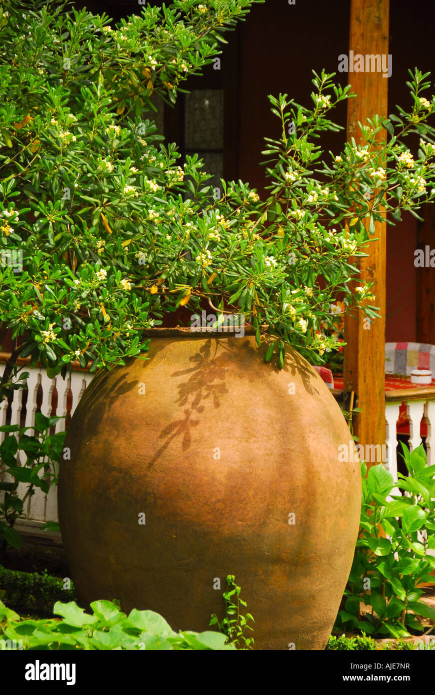 Hacienda Los Lingues, chile, Spanish colonial villa, pottery container ...