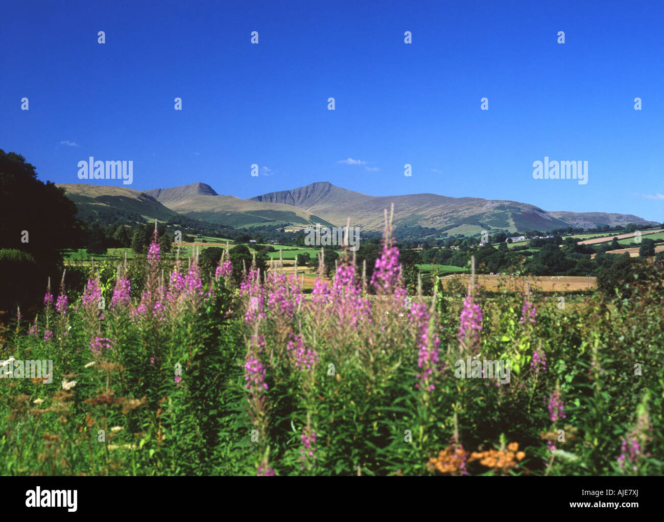 Brecon Beacons Pen y Fan, Corn Du and Cribyn from the north, near ...