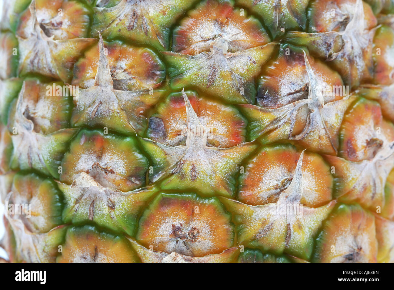 Extreme closeup of the skin on a pineapple macro shot focus on middle ...