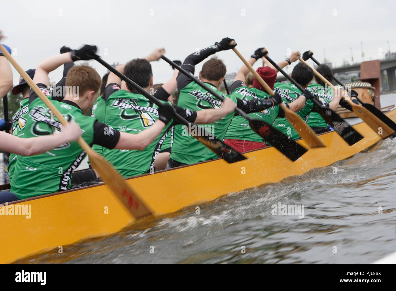 Team dragon boat racing, working together Stock Photo - Alamy