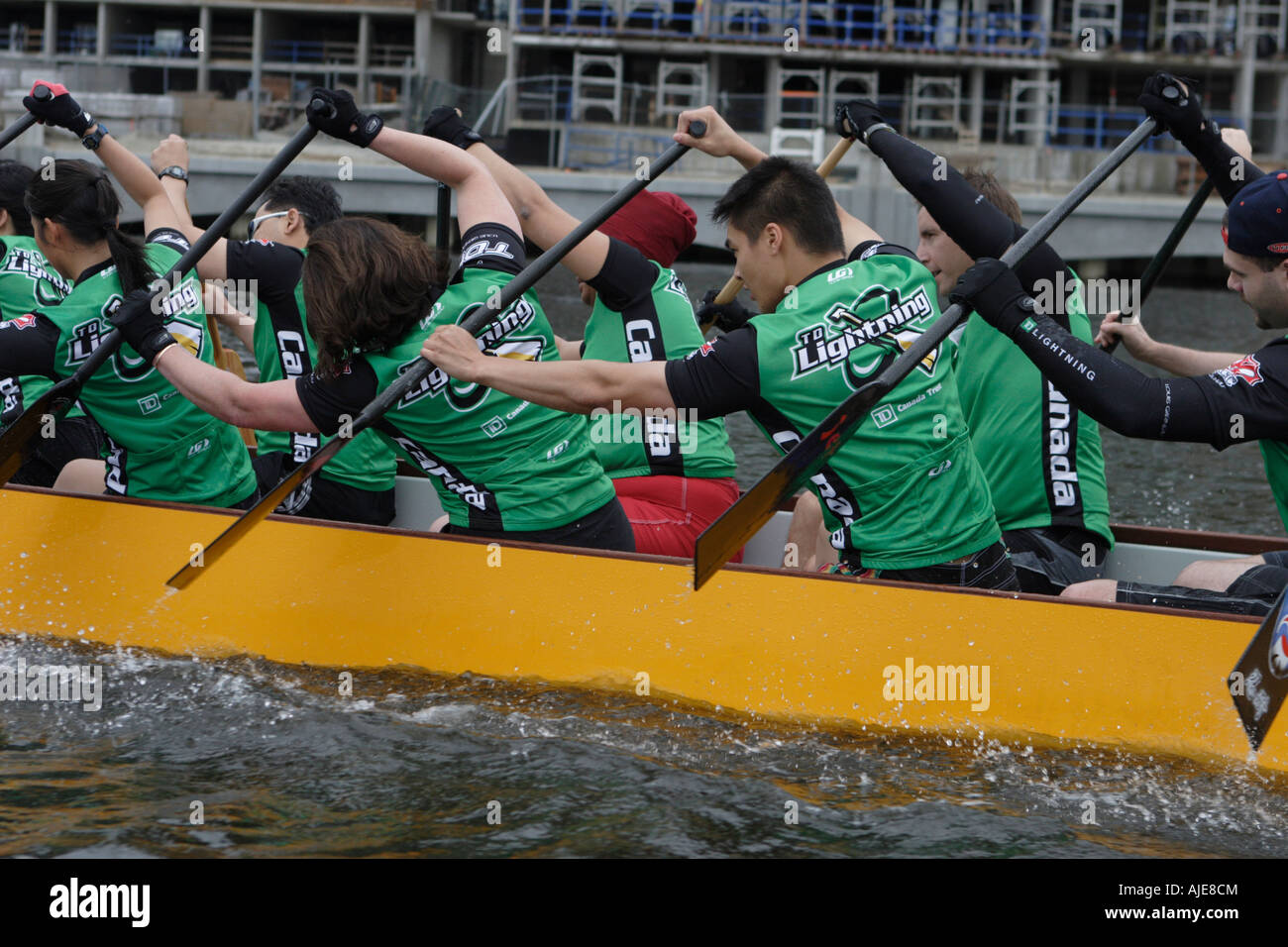 Team dragon boat racing, working together Stock Photo - Alamy