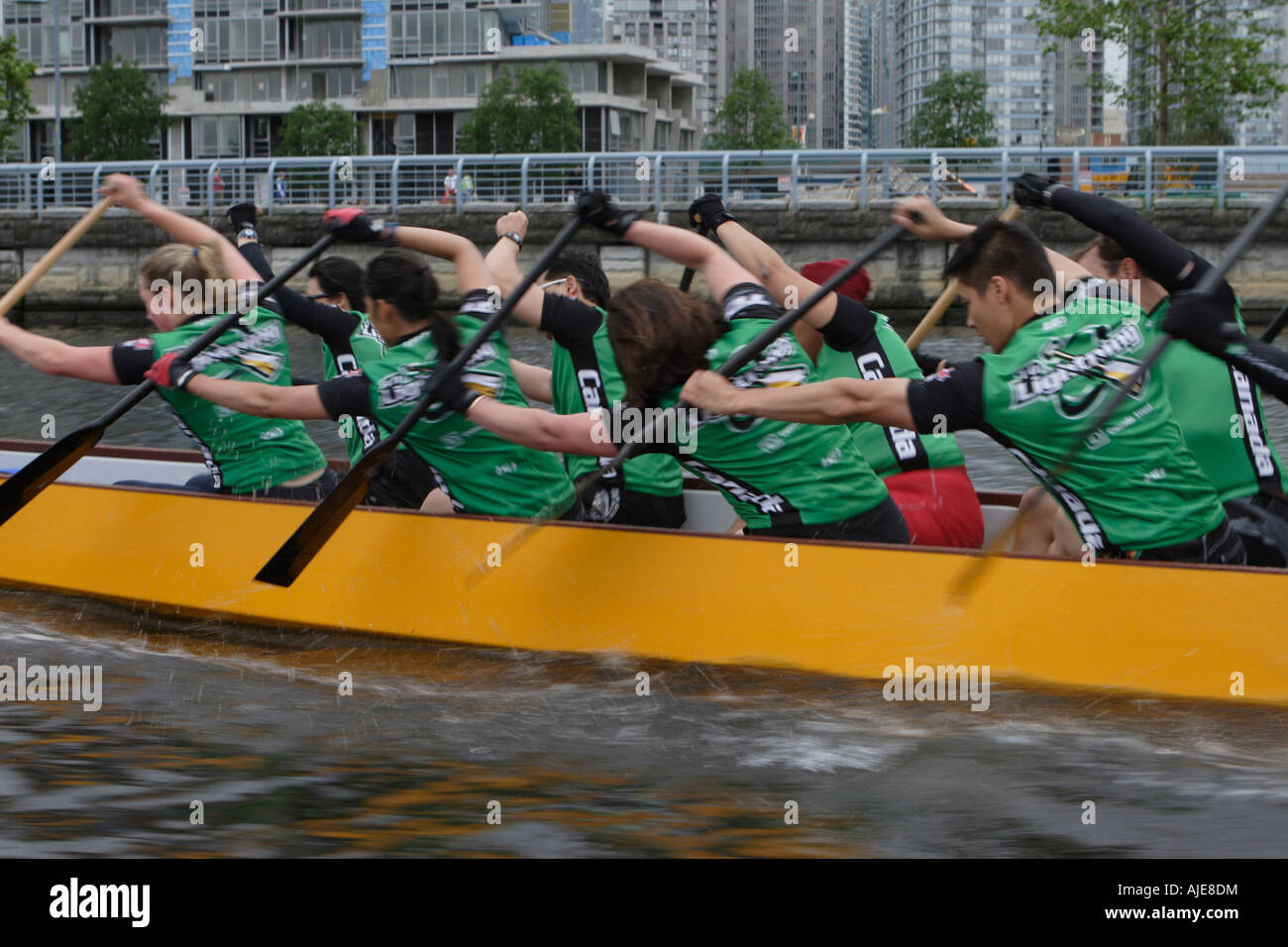 Team dragon boat racing, working together Stock Photo - Alamy