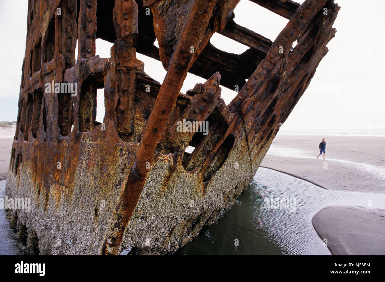 Astoria oregon peter hi-res stock photography and images - Alamy