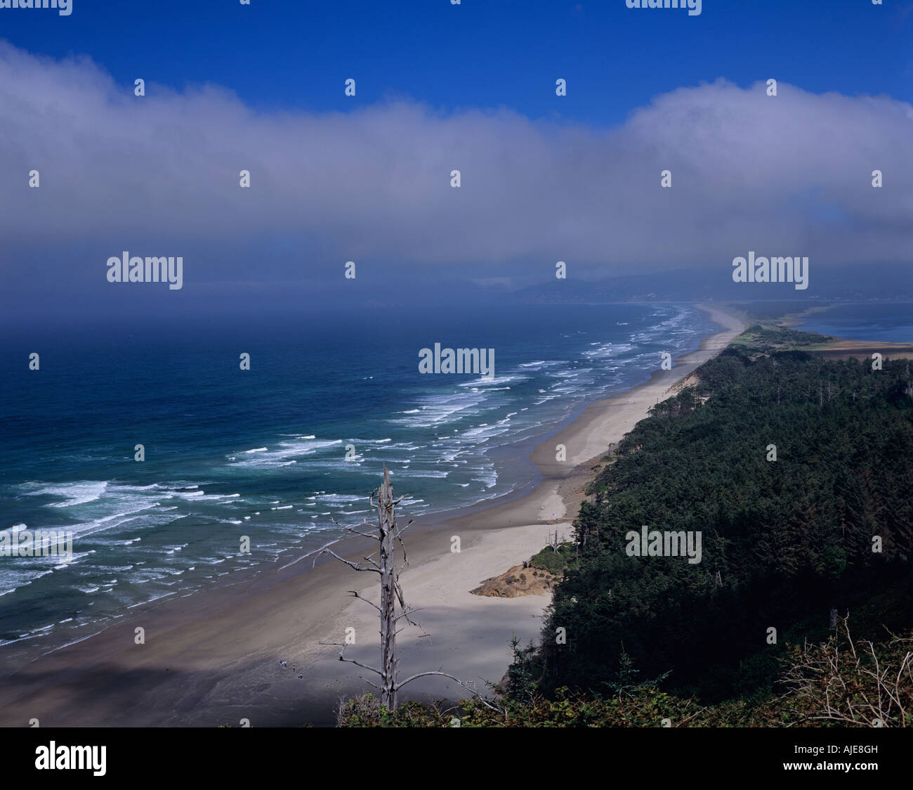 Cape Lookout State Park viewpoint with fog and beach Northern Oregon ...