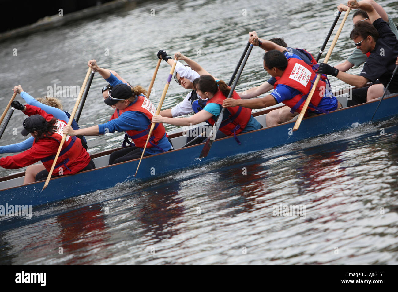 Team dragon boat racing, working together Stock Photo - Alamy