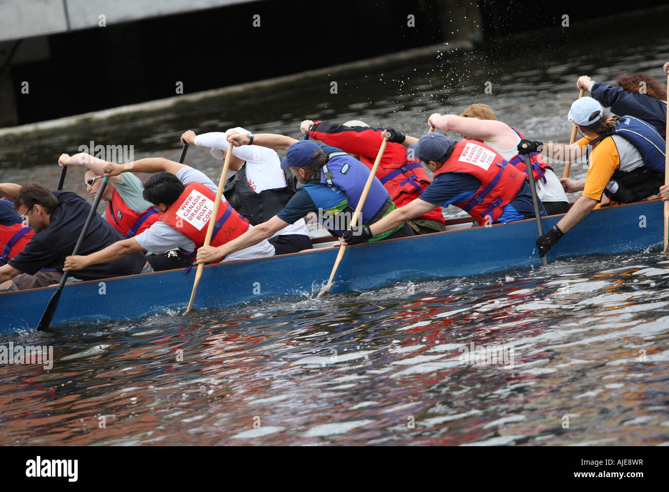 Team dragon boat racing, working together Stock Photo - Alamy