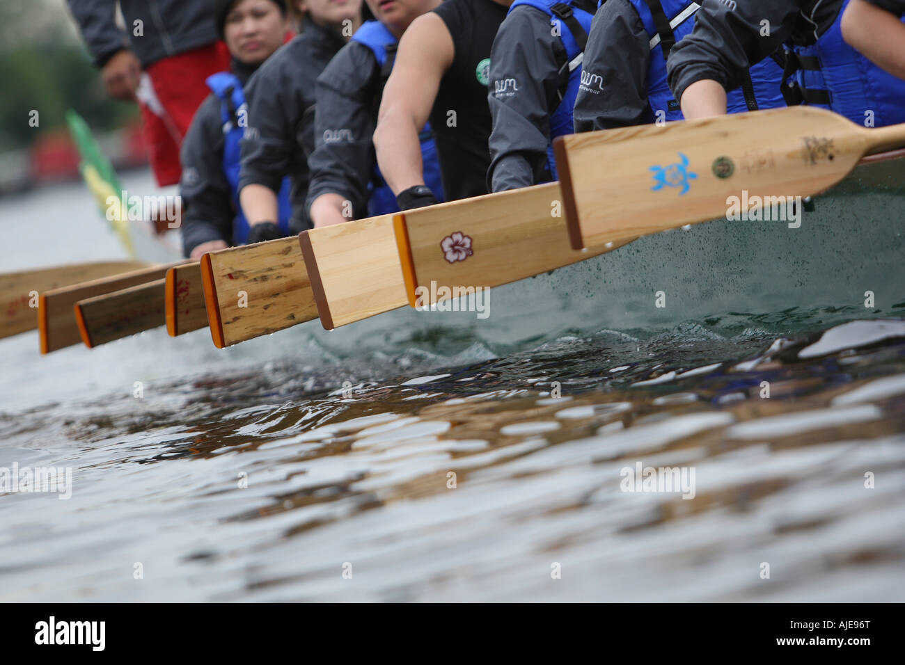 Team dragon boat racing, working together Stock Photo - Alamy