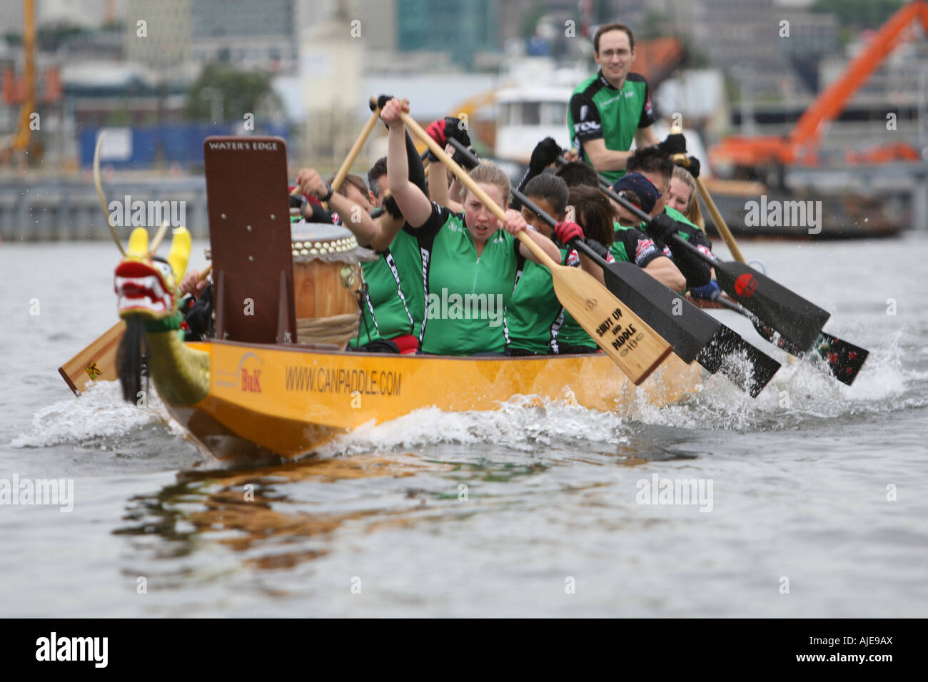 Team dragon boat racing, working together Stock Photo - Alamy