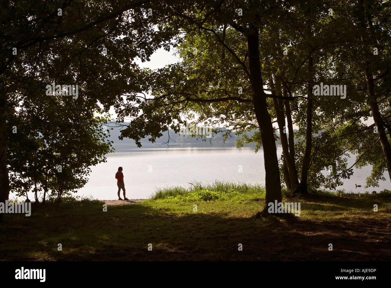 Female standing under trees at edge of Velky Rybnik lake Plzen Czech ...
