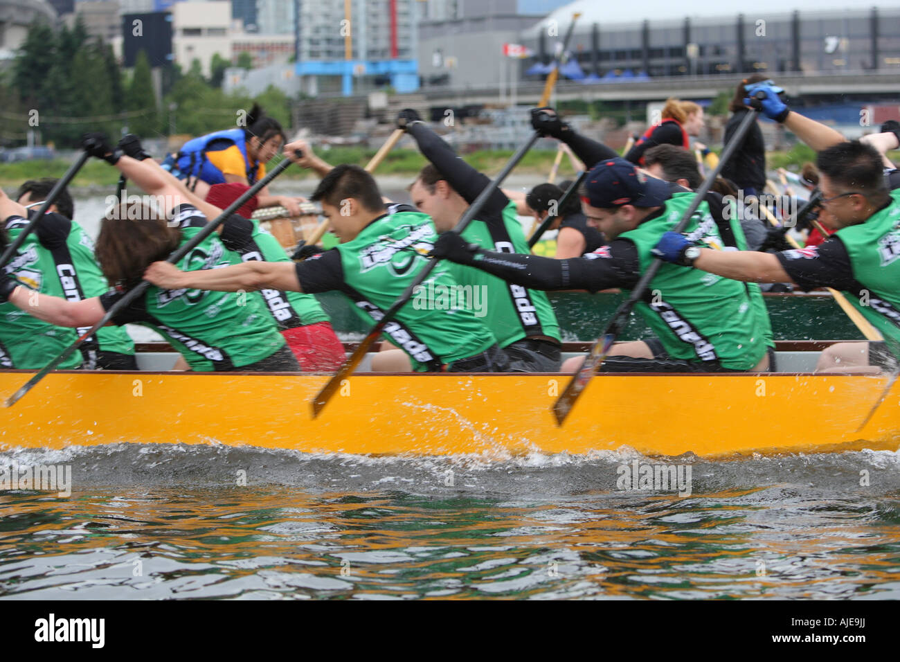 Team dragon boat racing, working together Stock Photo - Alamy