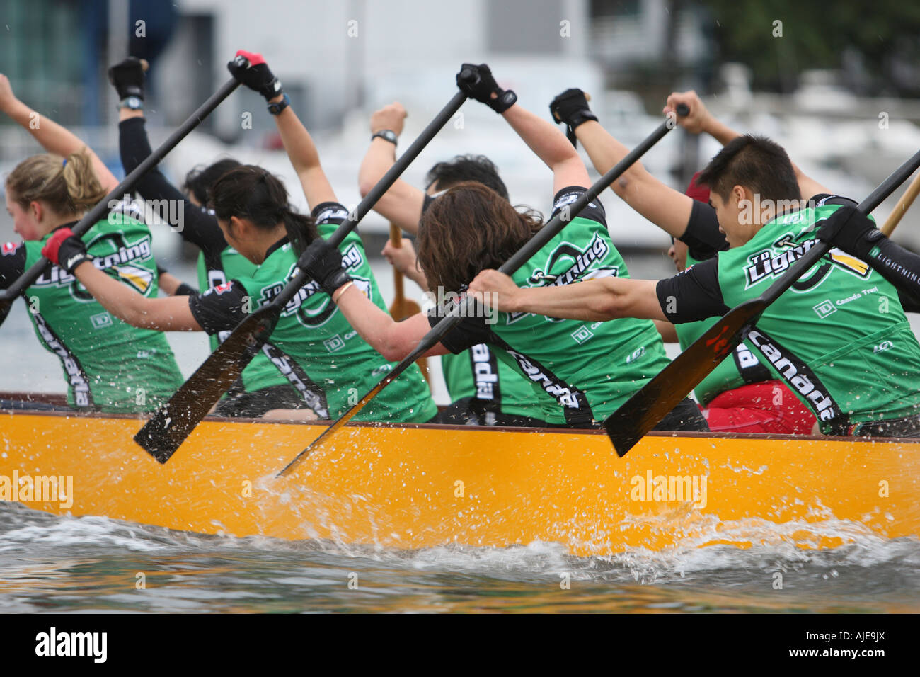 Team dragon boat racing, working together Stock Photo - Alamy