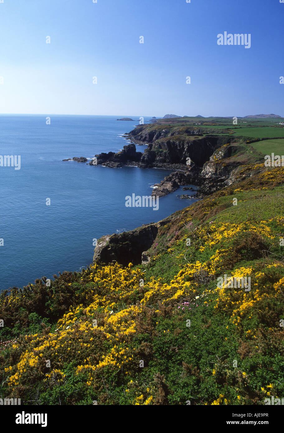 St non's bay hi-res stock photography and images - Alamy