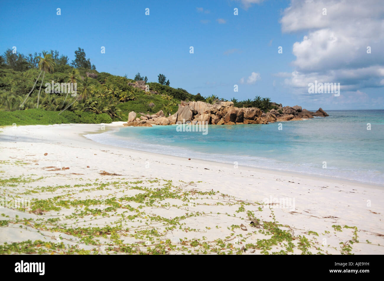 serene beaches of Seychelles archipelago Stock Photo - Alamy