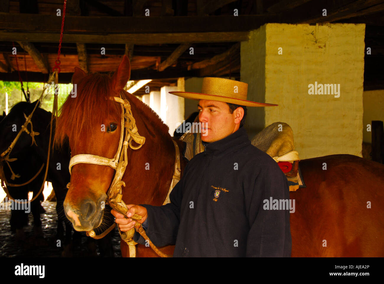 Hacienda Los Lingues, chile, Spanish colonial villa, horse in stable ...