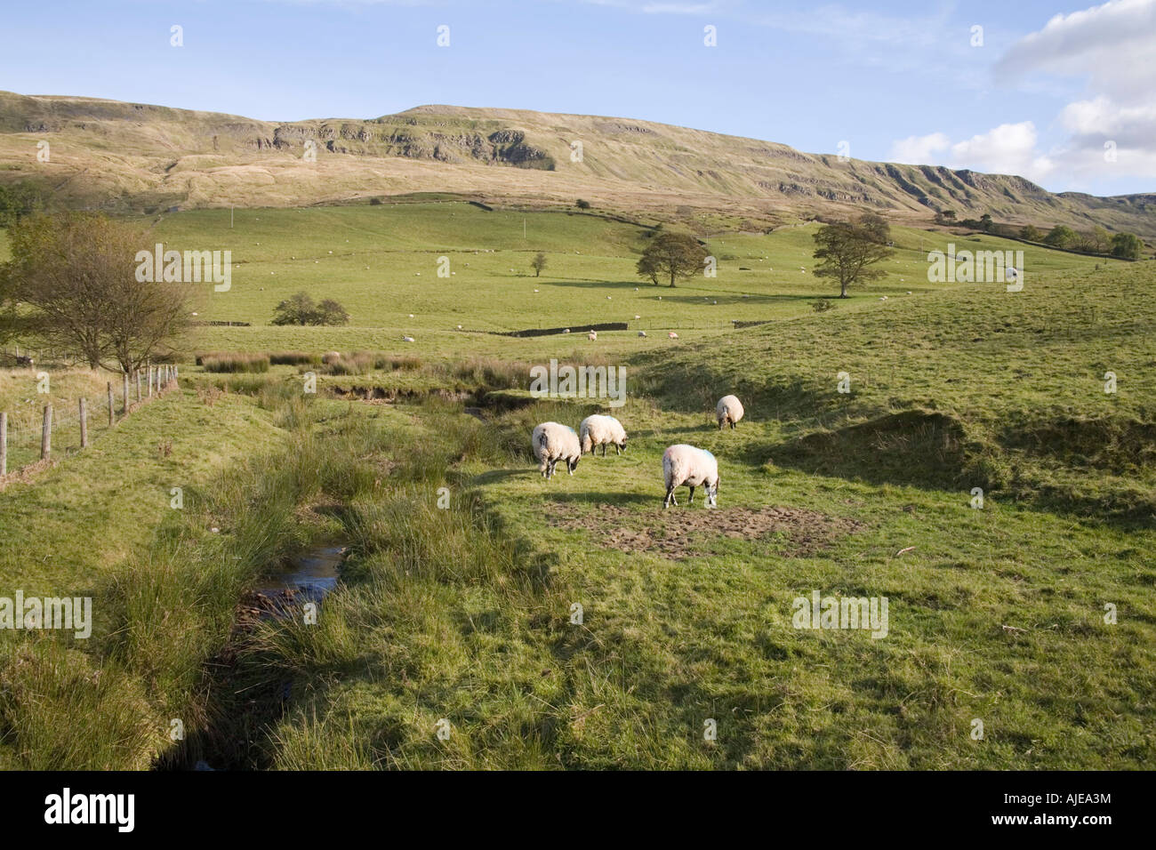 Birkdale hi-res stock photography and images - Alamy