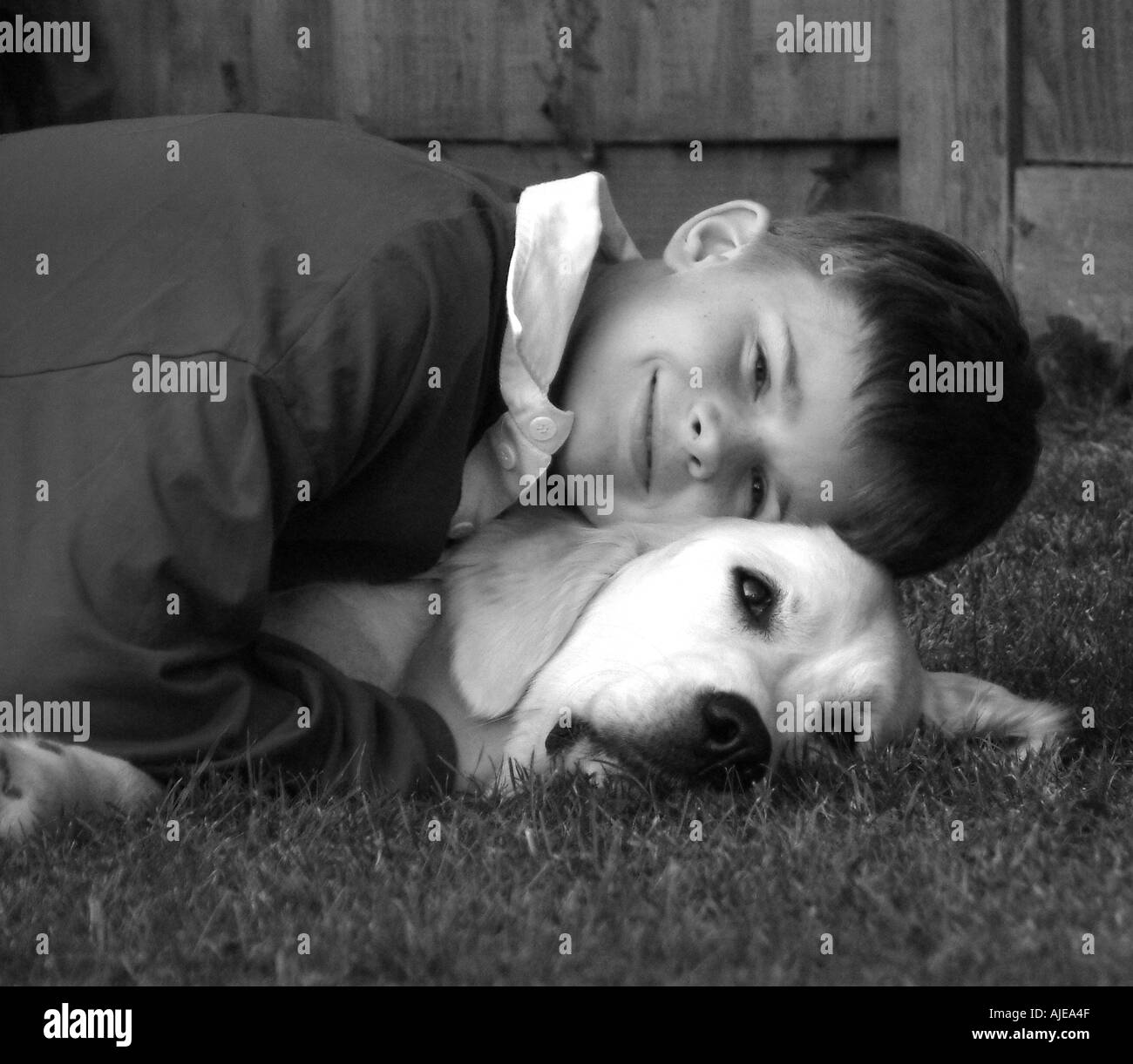 boy cuddling golden retriever dog Stock Photo - Alamy