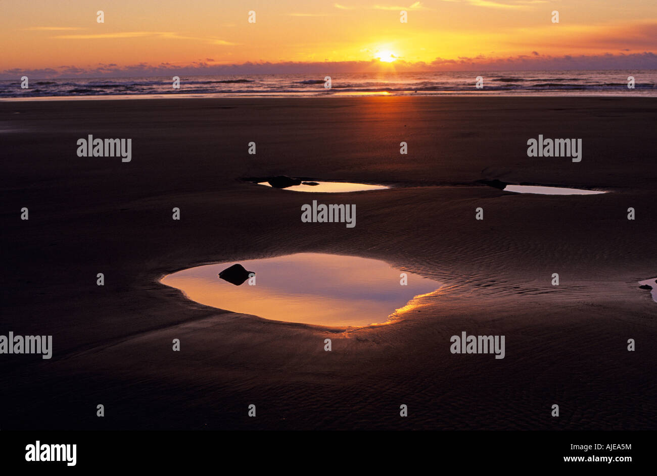 Cape Sebastian State Park Southern Oregon Coast along Highway 101 at ...