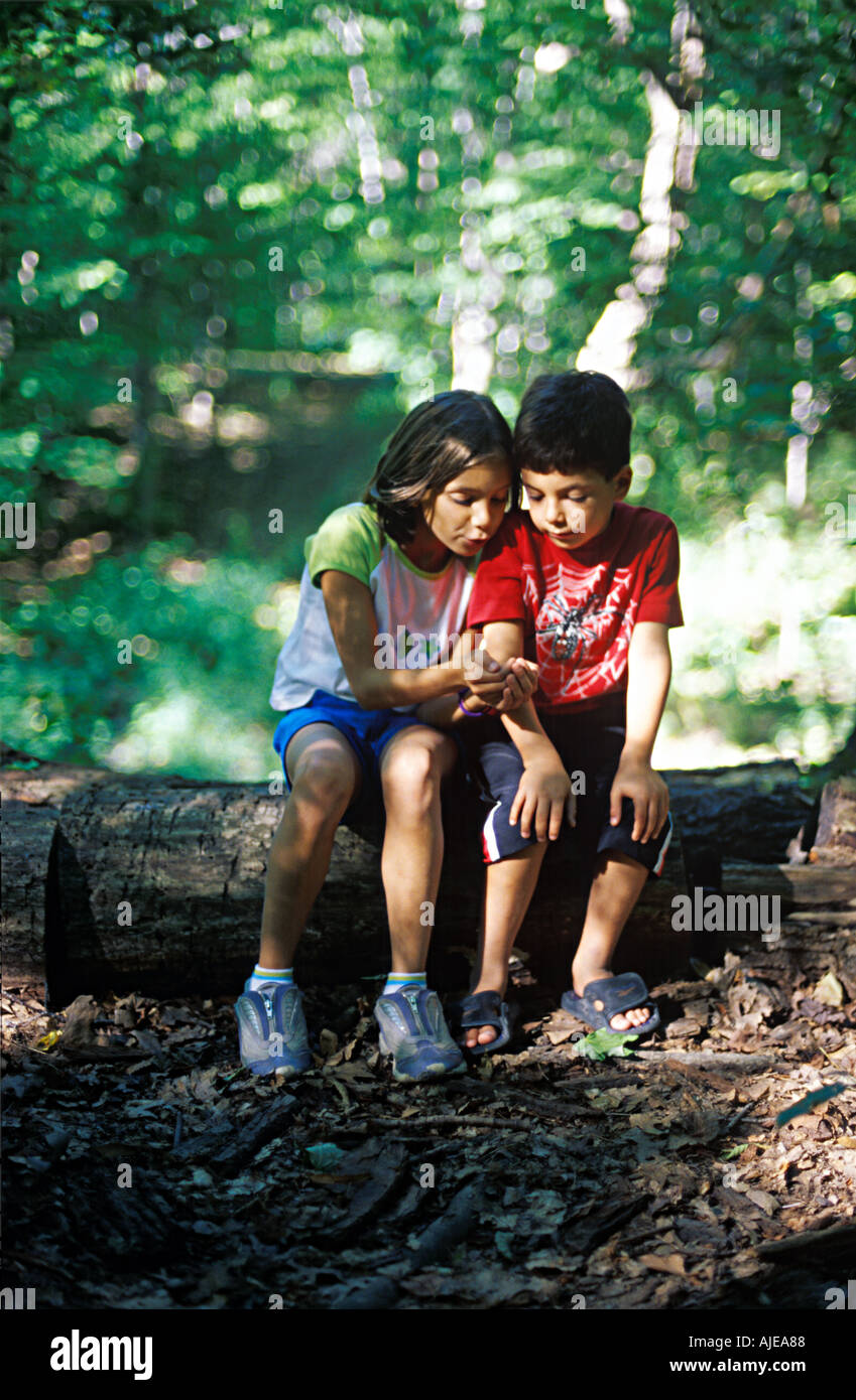Girl and boy exploring woods hi-res stock photography and images - Alamy
