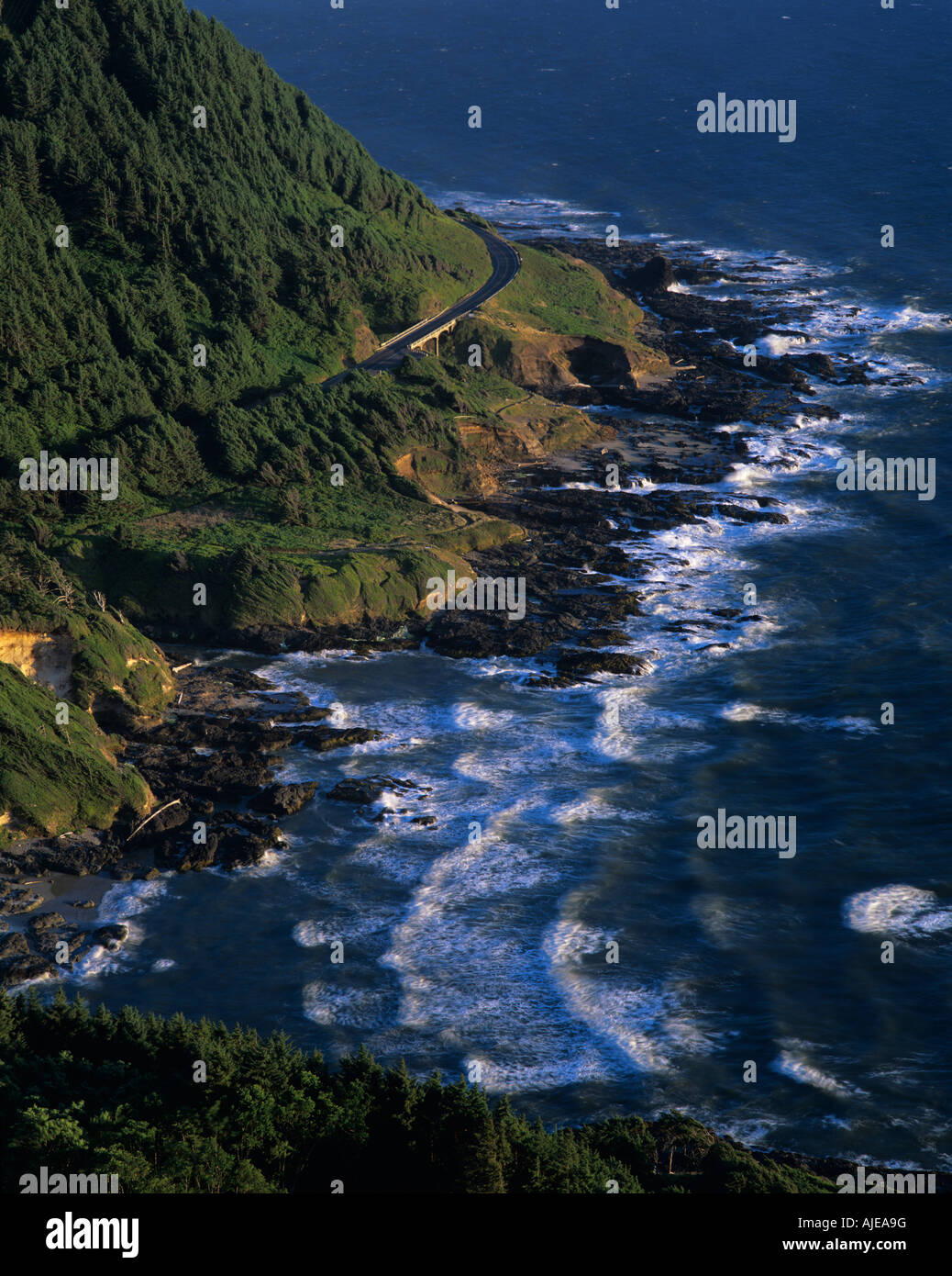 Overlook viewpoint sunset Cape Perpetua and Highway 101 with old growth ...