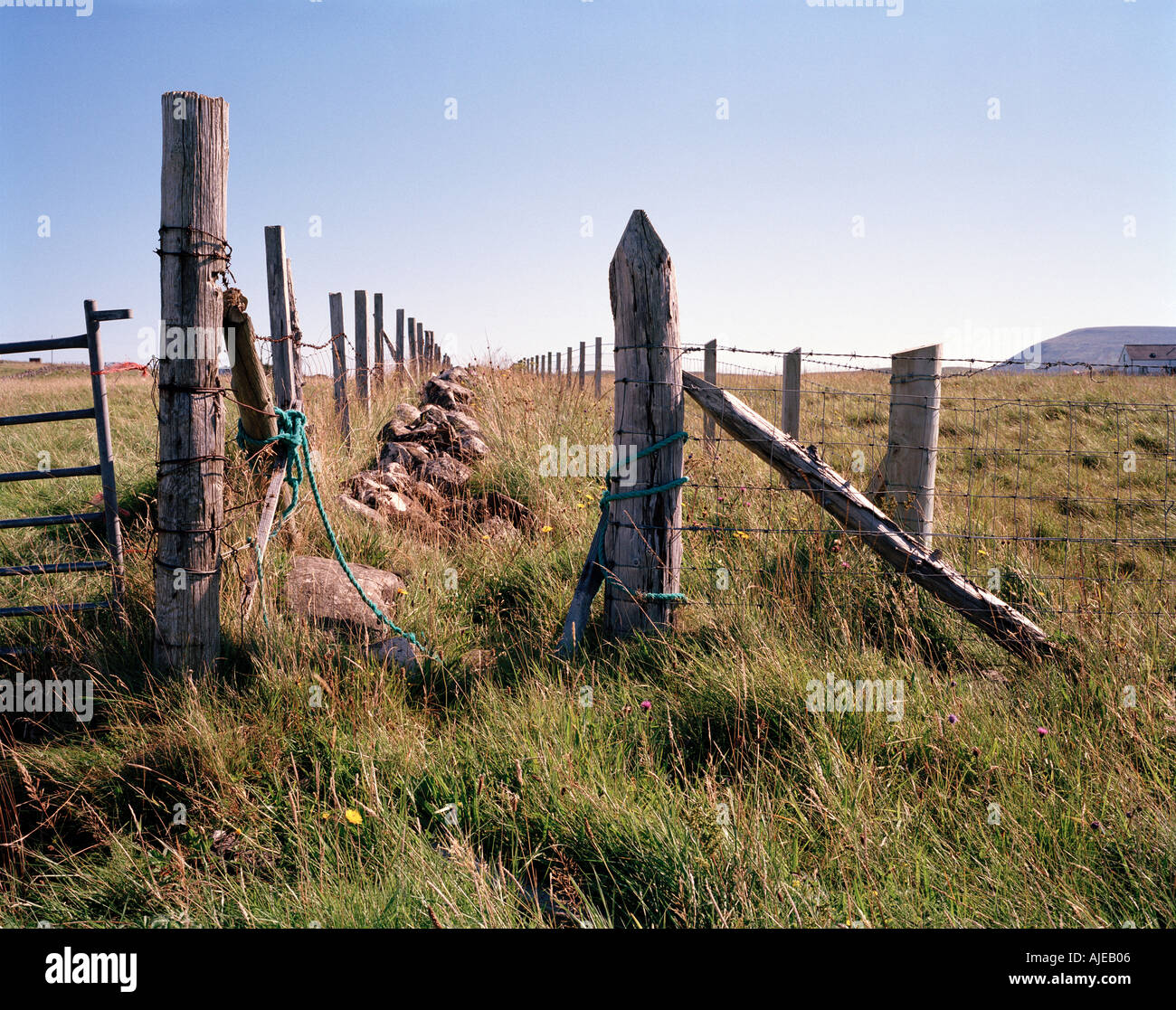 Fence Posts dividing fields Stock Photo - Alamy