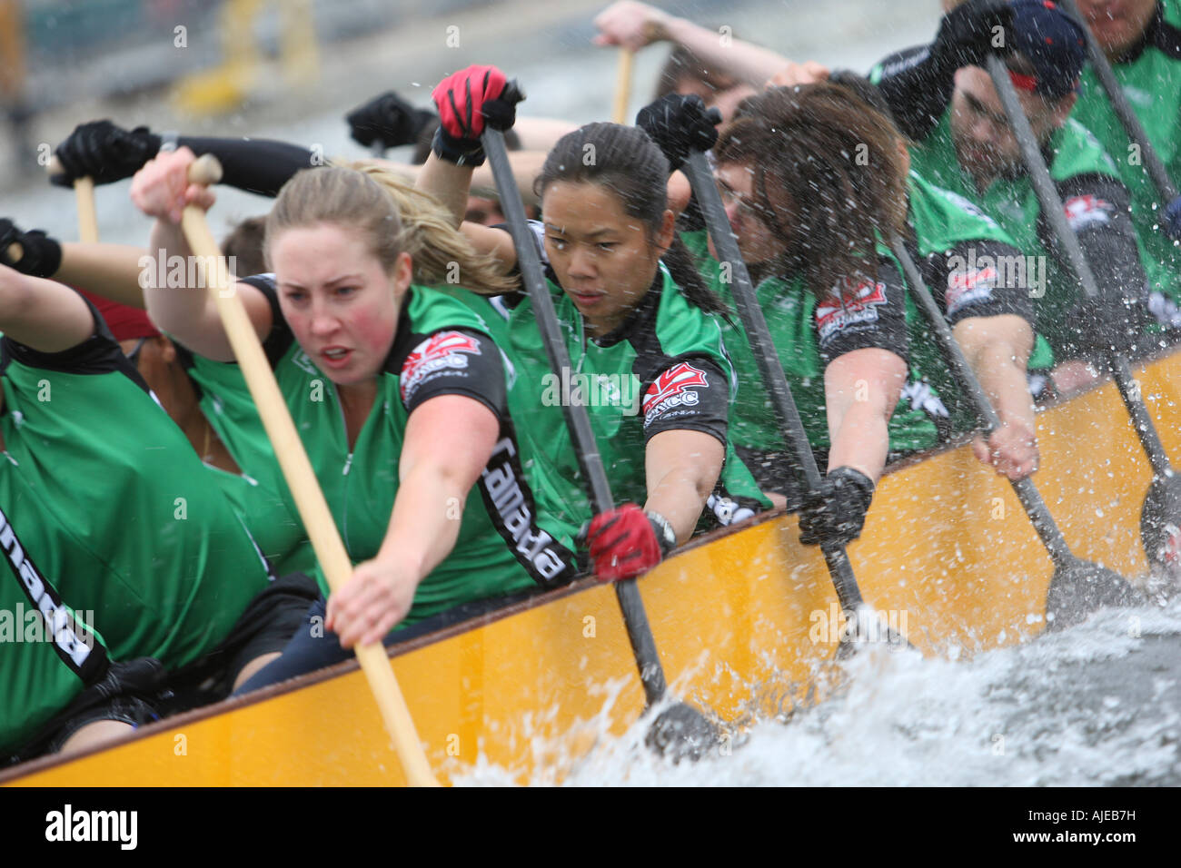 Team dragon boat racing, working together Stock Photo - Alamy