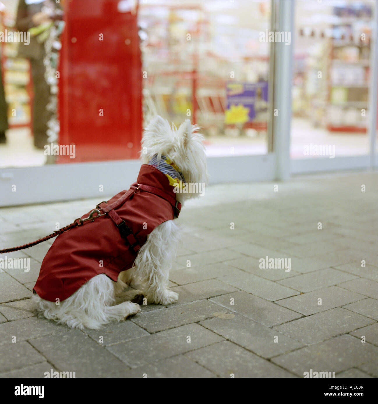 Desperately waiting hi-res stock photography and images - Alamy