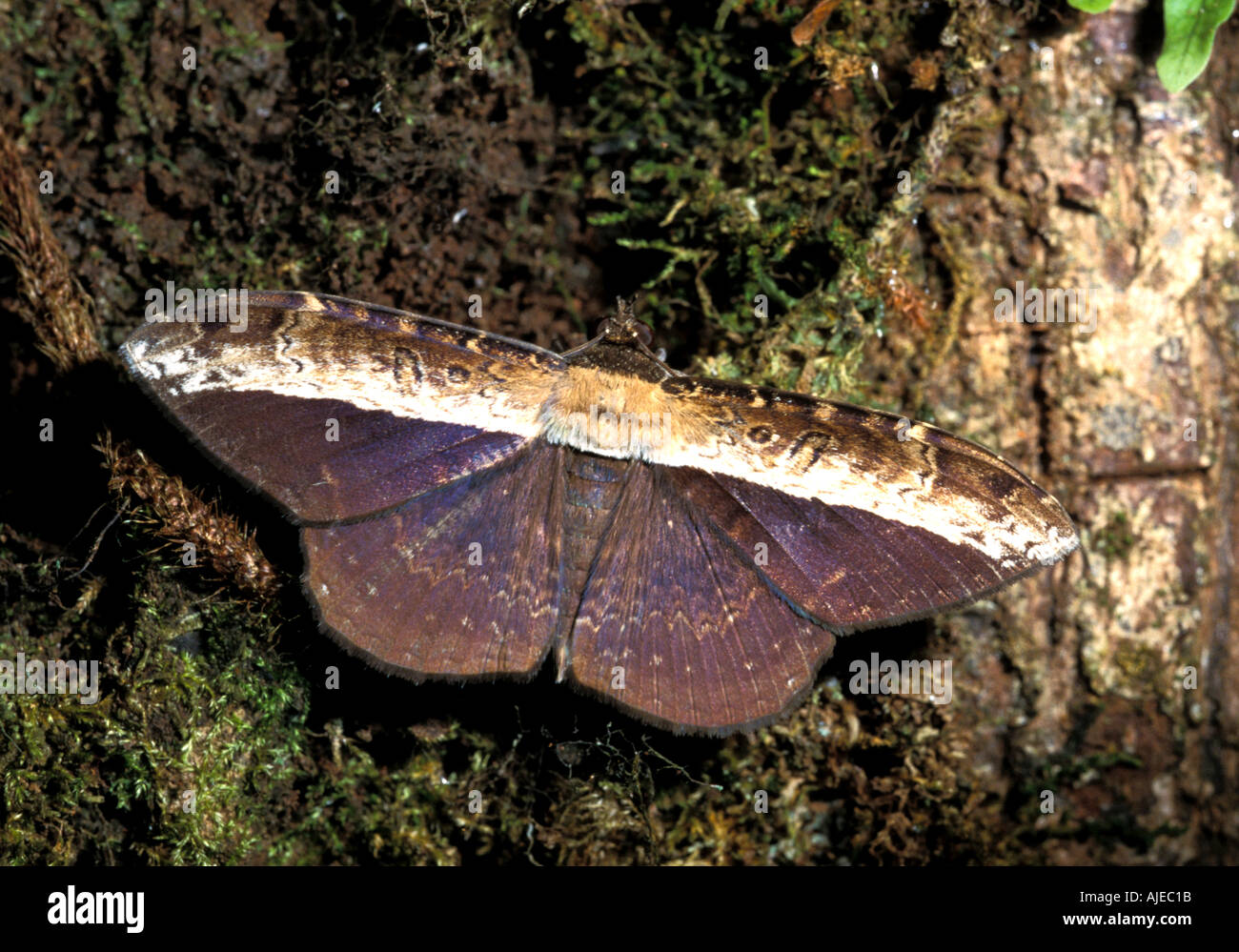 The unknown hi-res stock photography and images - Alamy