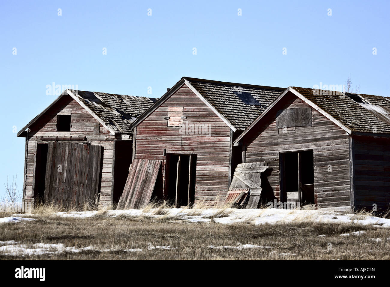 Three old wooden granaries in spring Stock Photo - Alamy