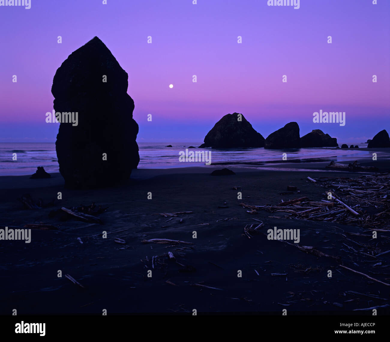 Cape Sebastian State Park Southern Oregon Coast along Highway 101 ...