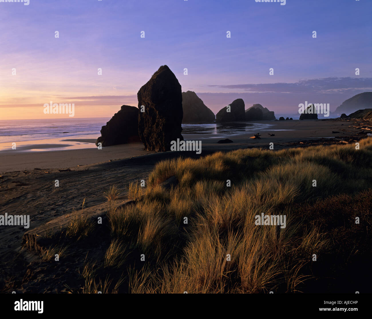 Cape Sebastian State Park Southern Oregon Coast along Highway 101 ...