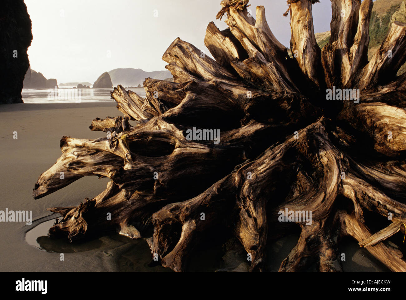 Cape Sebastian State Park Southern Oregon Coast Highway 101 sunrise ...